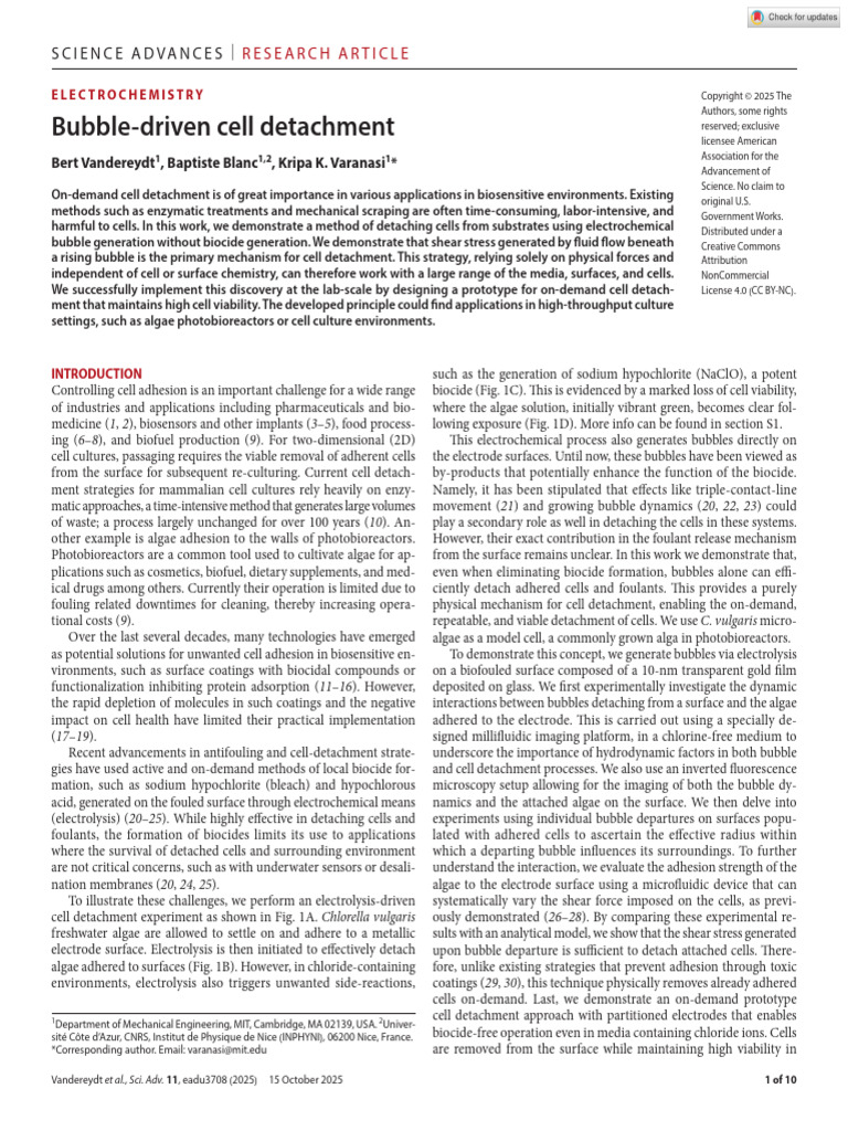 Bubble-Driven Cell Detachment | PDF | Electrolyte | Electrochemistry