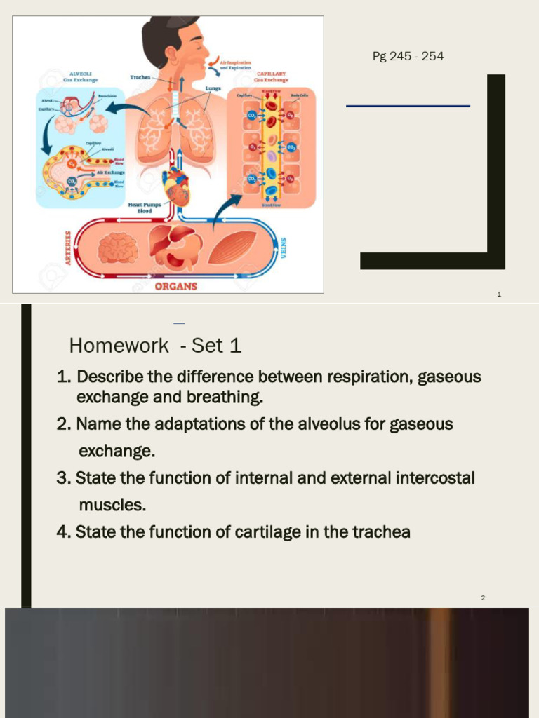 Gr 10 - Breathing System SS1 | PDF | Breathing | Respiratory System
