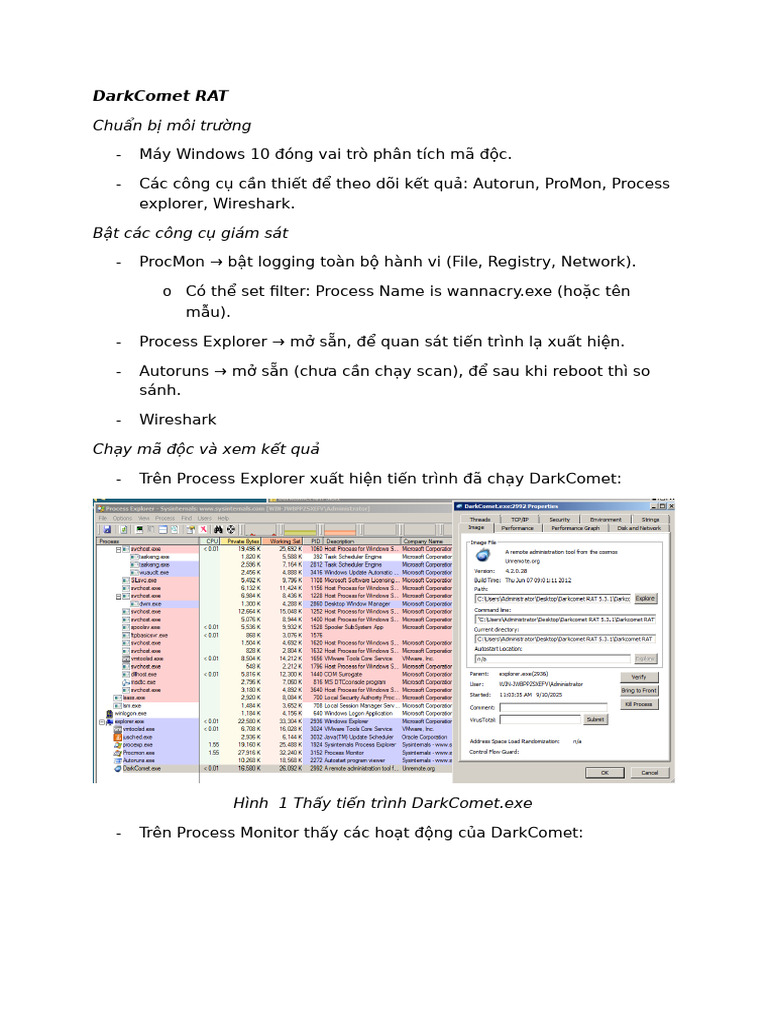 DarkComet RAT | PDF