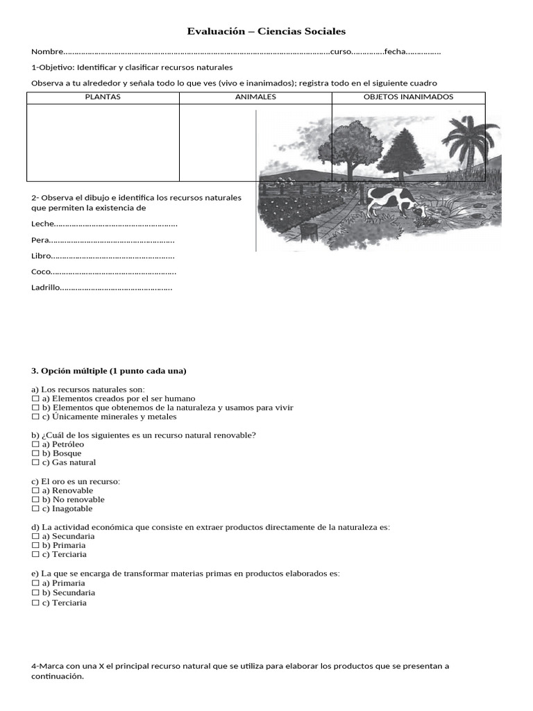 Guia de Actividades Los Recursos Naturales 4 | PDF