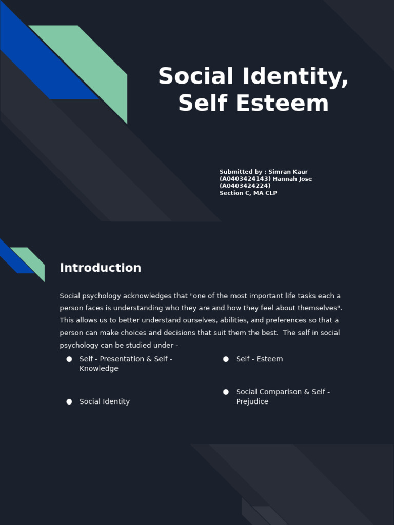 Understanding Social Identity and Self-Esteem | PDF | Self Esteem ...