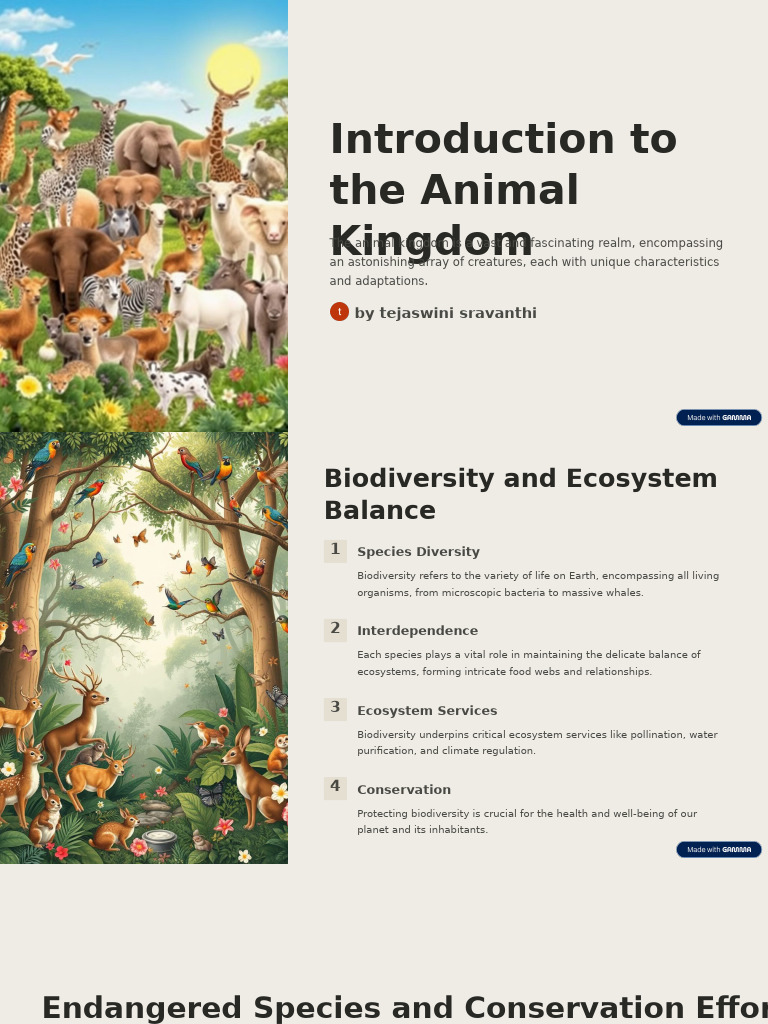 Understanding Animal Kingdom Diversity | PDF | Conservation Biology ...