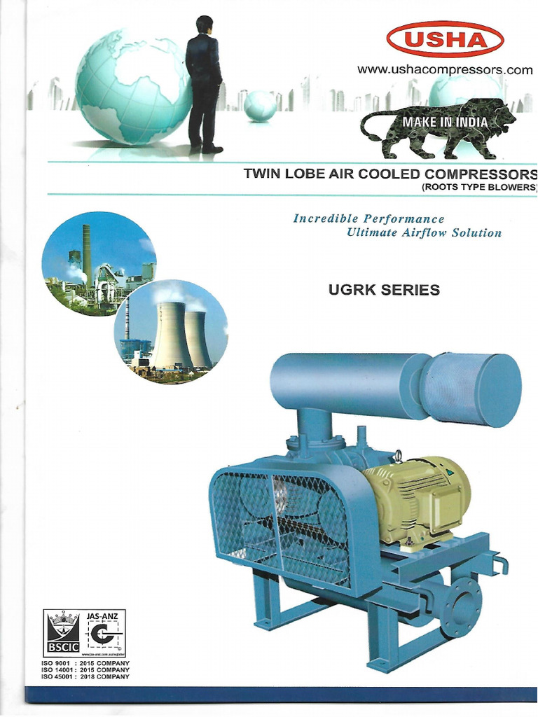 Usha Twin Lobe Root Blower | PDF