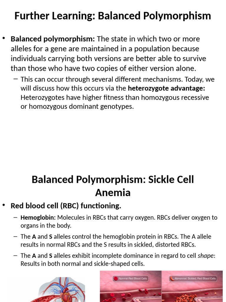 Sickle Cell Anemia and Balanced Polymorphism | PDF | Red Blood Cell ...