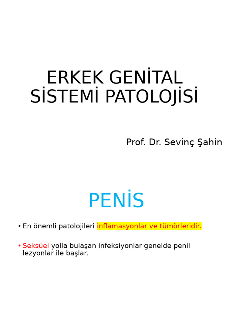 Erkek Geni̇tal Si̇stemi̇ Patoloji̇si̇ 2025 | PDF