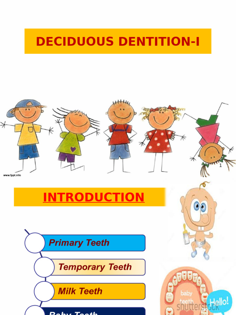 Overview of Deciduous Dentition | PDF | Dental Anatomy | Tooth
