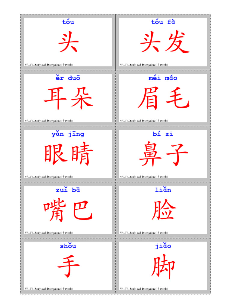 Body - Flashcard | PDF