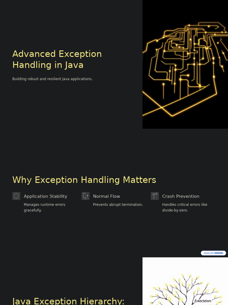 Advanced Exception Handling in Java | PDF | Software Development ...
