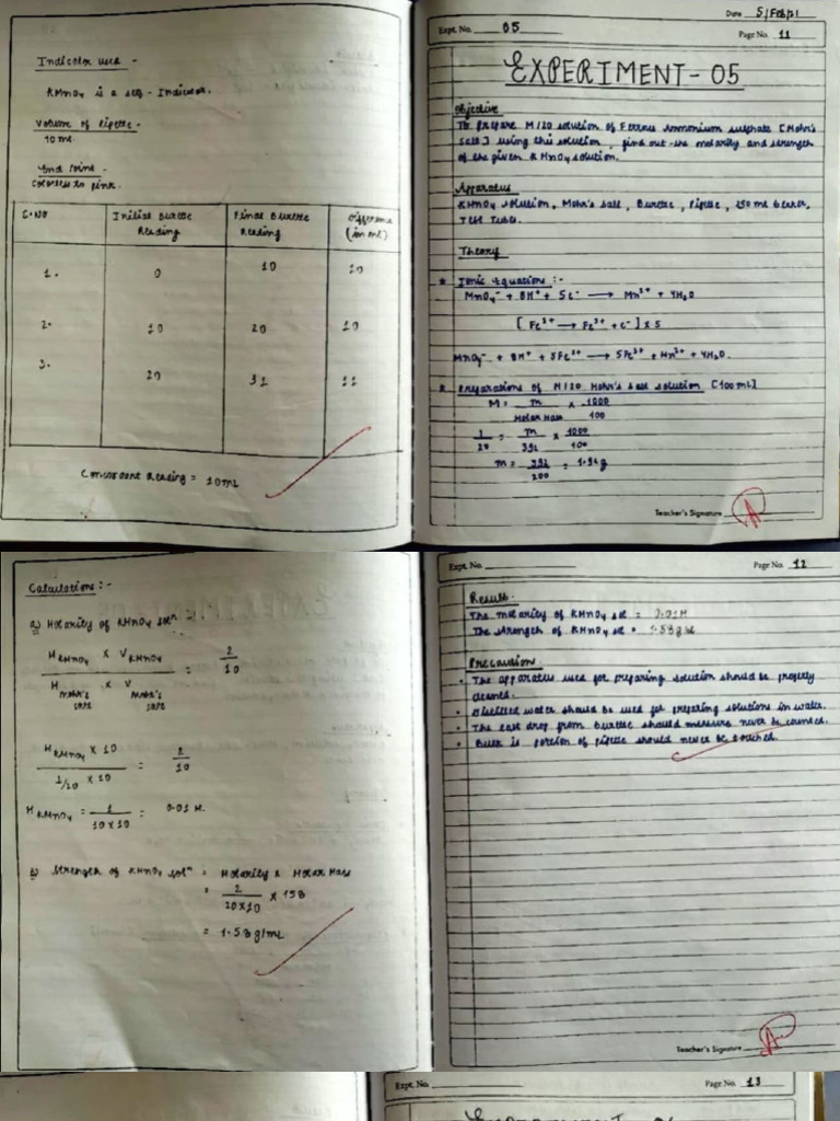 Experimental Report Overview | PDF