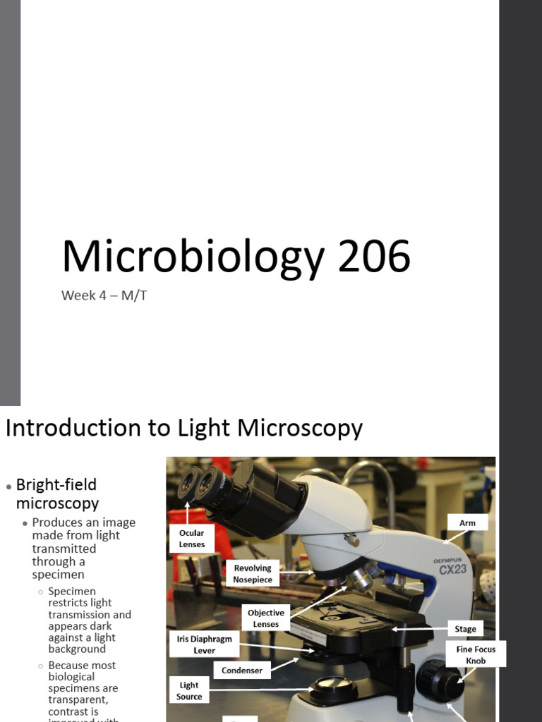 Introduction to Light Microscopy Techniques | PDF | Microscopy | Microscope