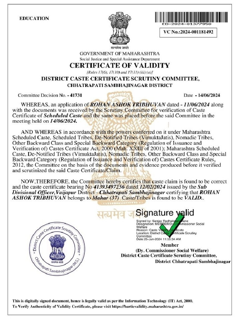 Caste Validity | PDF