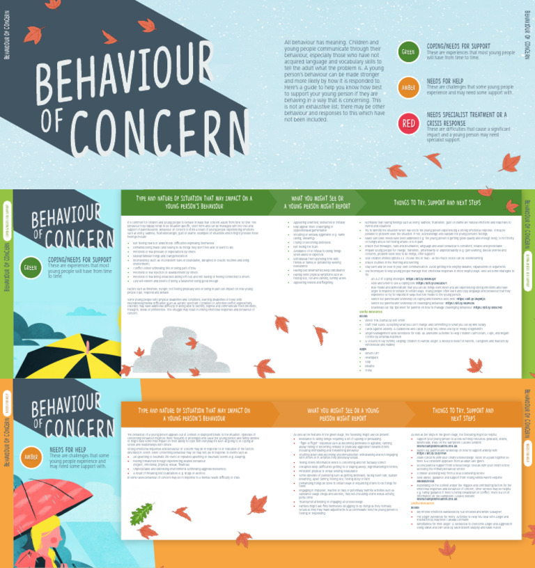 Understanding Youth Behavior Concerns | PDF | Psychological Trauma ...