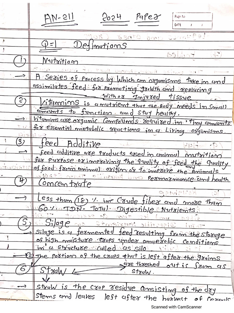 An 211 Paper Solution 2024 | PDF