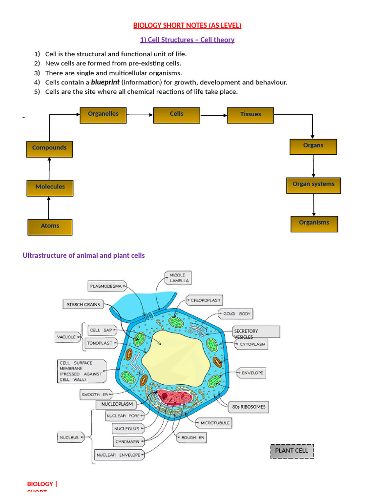 AS Level Biology: Cell Structures Overview | PDF | Cell (Biology ...