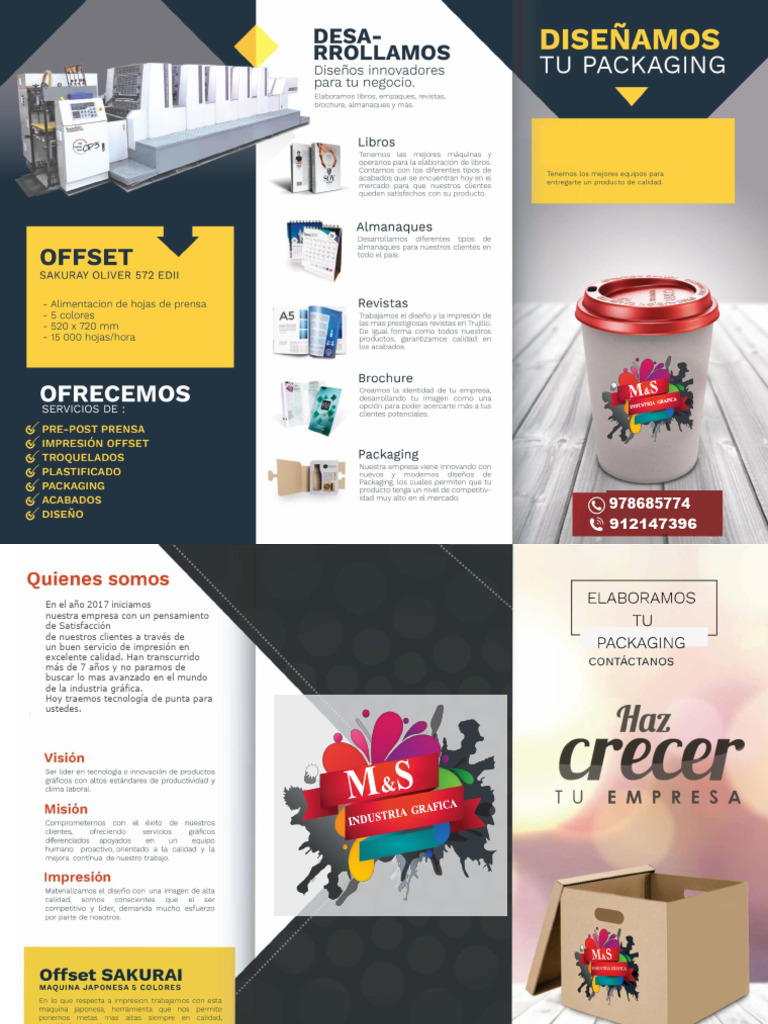 Brochure - 2024 - Ms Industria Grafica Eirl | PDF