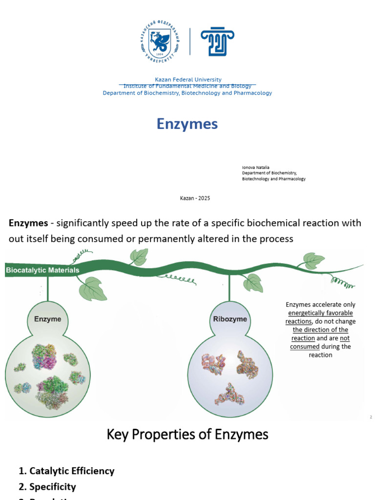 Lecture 2 - Enzymes | PDF | Enzyme | Enzyme Kinetics