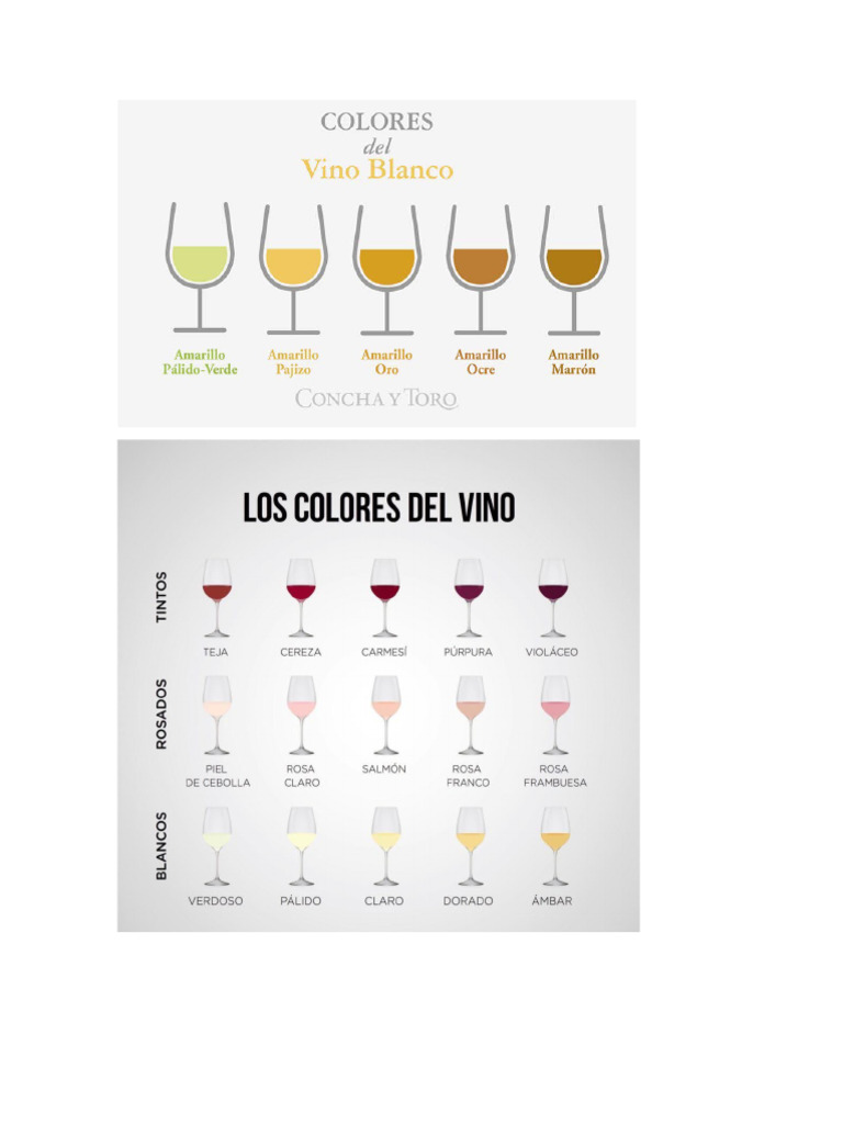 Colores de Los Vinos | PDF
