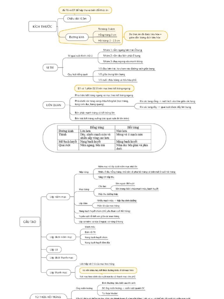 Ru T Non | PDF
