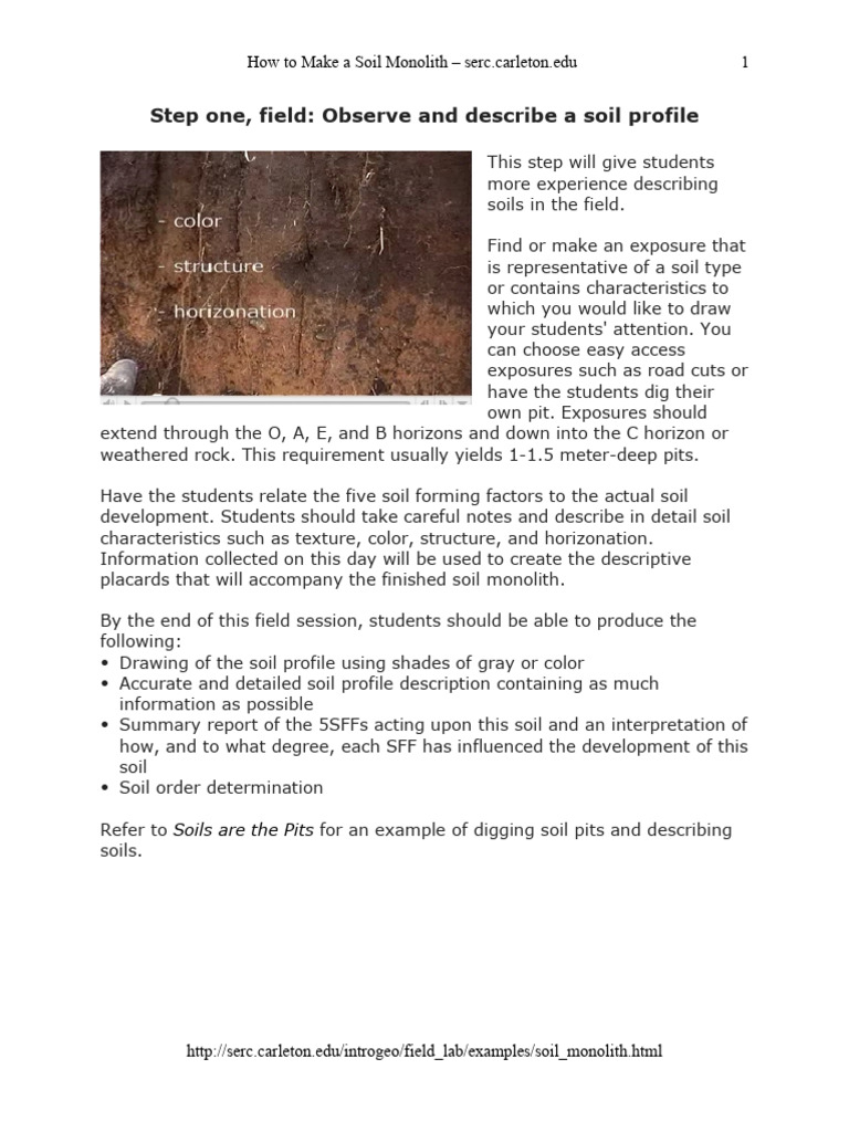 Creating a Soil Monolith Guide | PDF | Soil | Adhesive