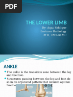 Anatomy of Ankle Retinacula | PDF
