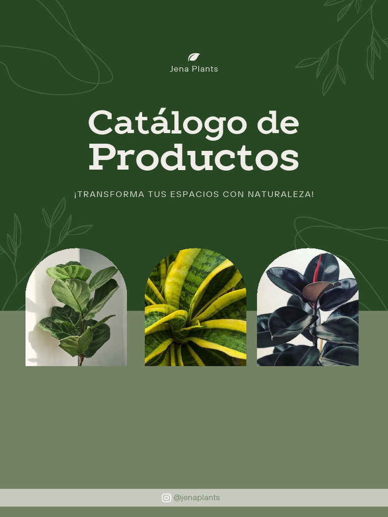 Catálogo de Plantas y Materas Jena Plants | PDF | Planta de casa | Plantas