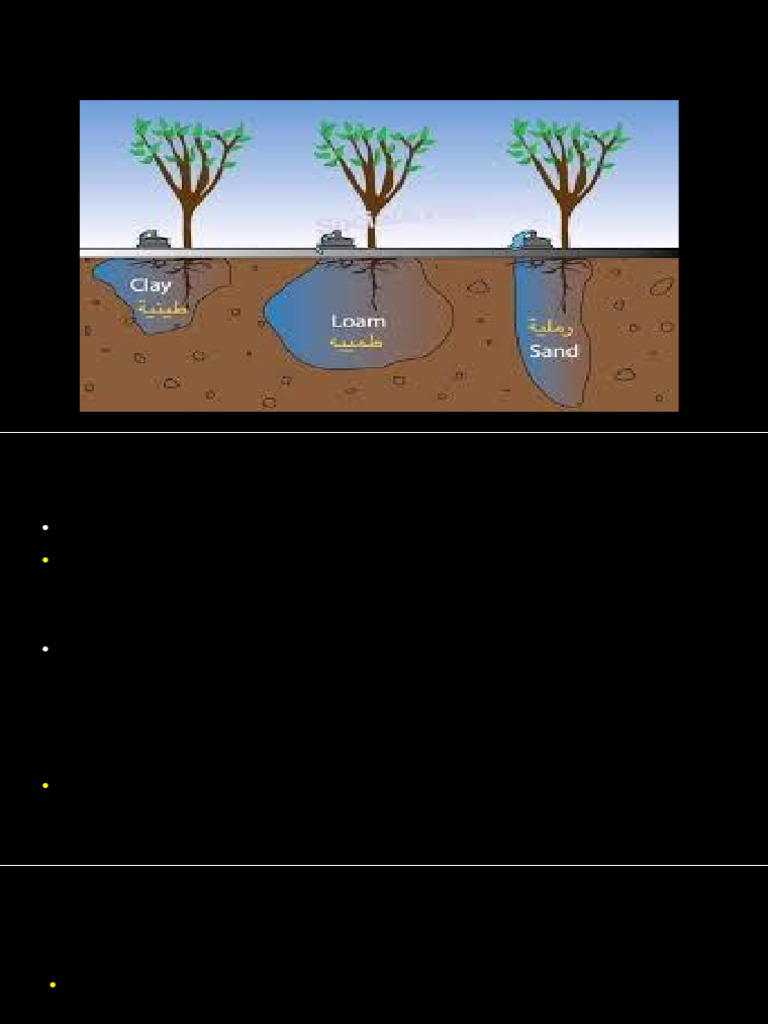 Lecture 4-Edaphic Factors | PDF | Soil | Plant Nutrition