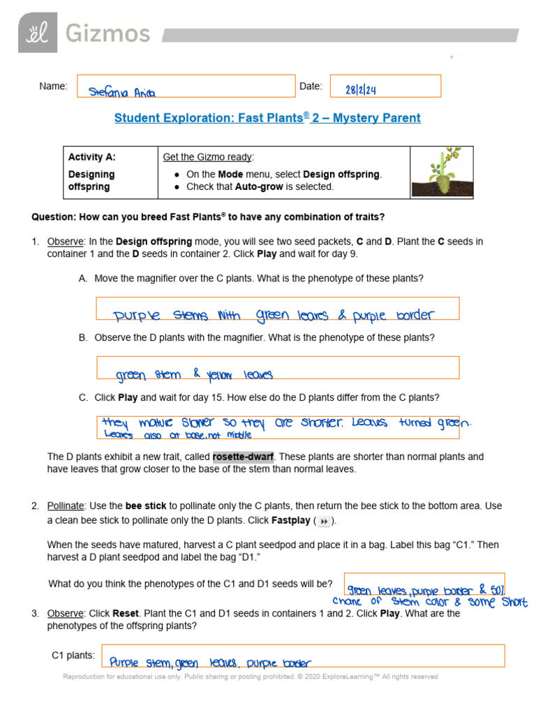 Breeding Fast Plants: Traits & Chi-Squared Test | PDF | Genotype | Chi ...