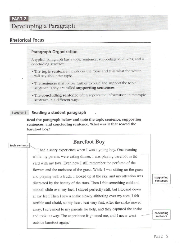 How To Write A Paragraph | PDF