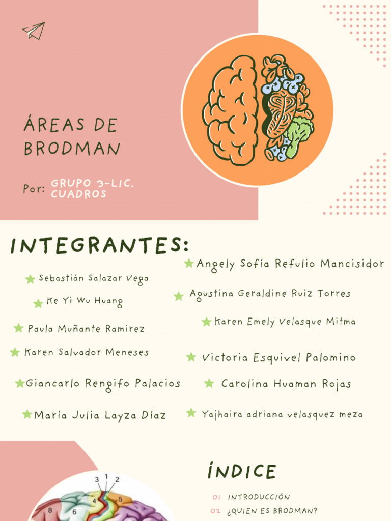 Area de Brodman - 20250922 - 192016 - 0000 | PDF