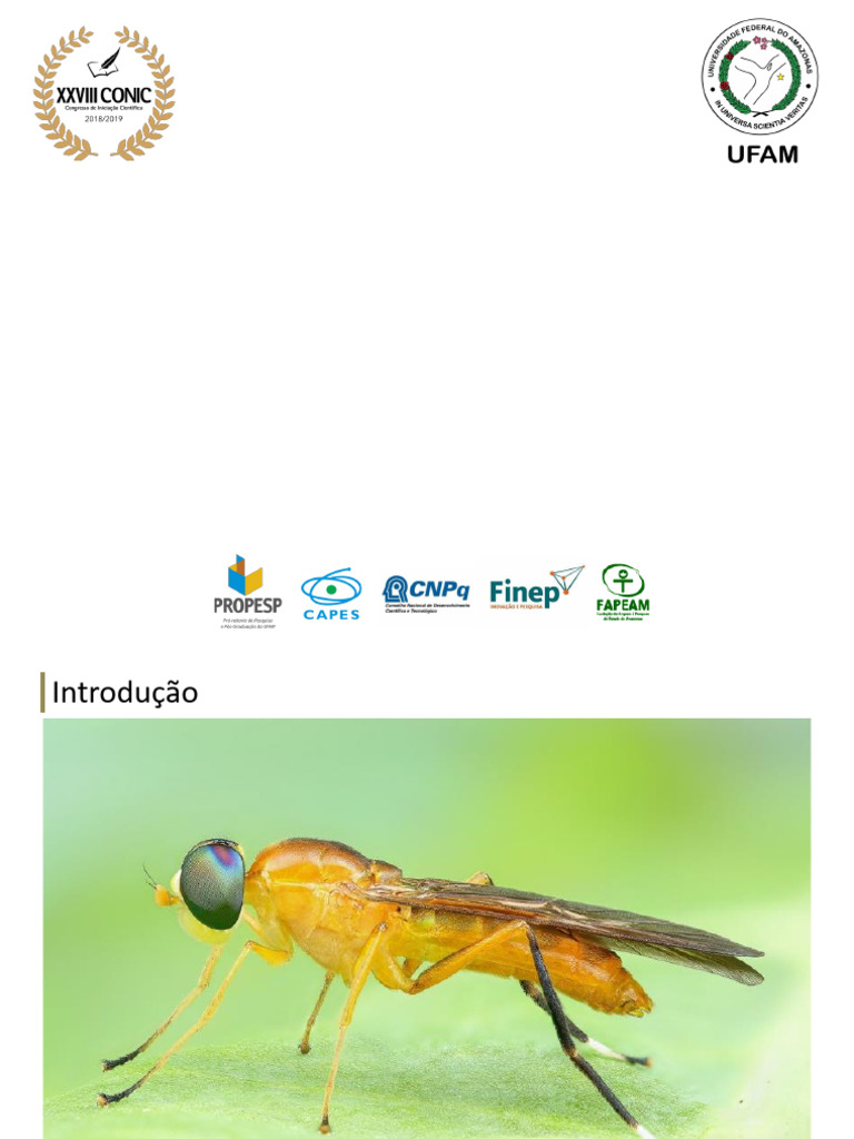 PIB-B-0058-2018 Jean Nunes_Estudo Taxonômico das Espécies Amazônicas de ...