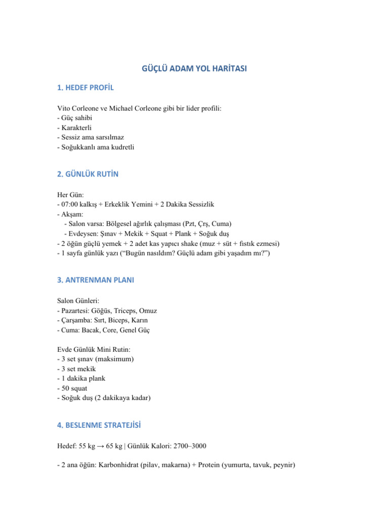 Guclu Adam Yol Haritasi | PDF