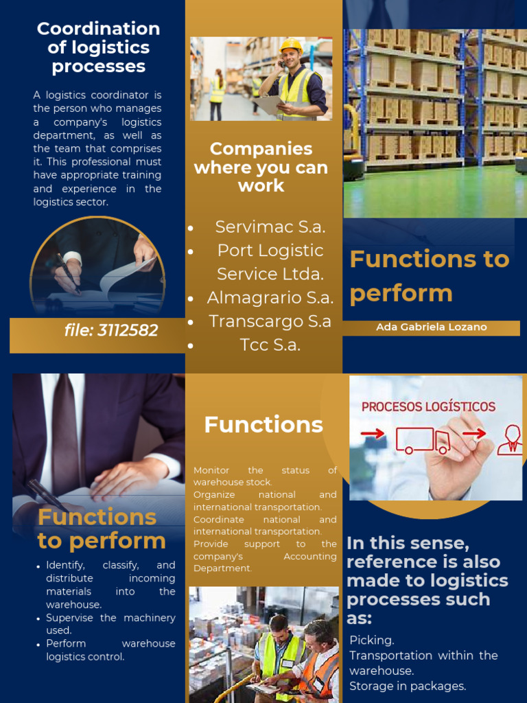 Coordination of Logistics Processes | PDF