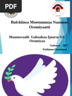 Haasaa Ajajaa Olaanaa ABO WBO Jaal Marroo Dirribaa | PDF