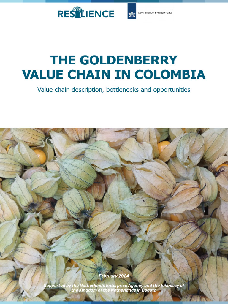 Goldenberry Value Chain in Colombia 1725442153 | PDF