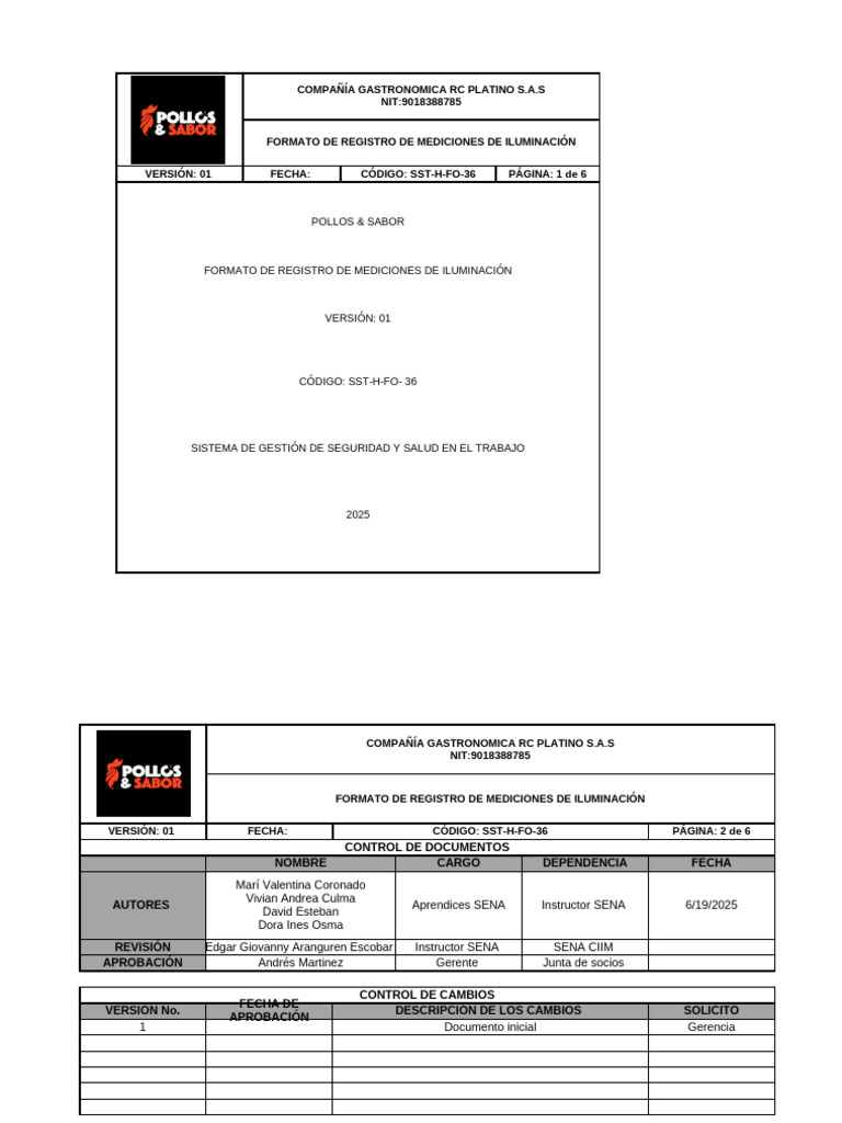 Sst-H-Fo-36 Formato de Registro de Mediciones de Iluminación | PDF