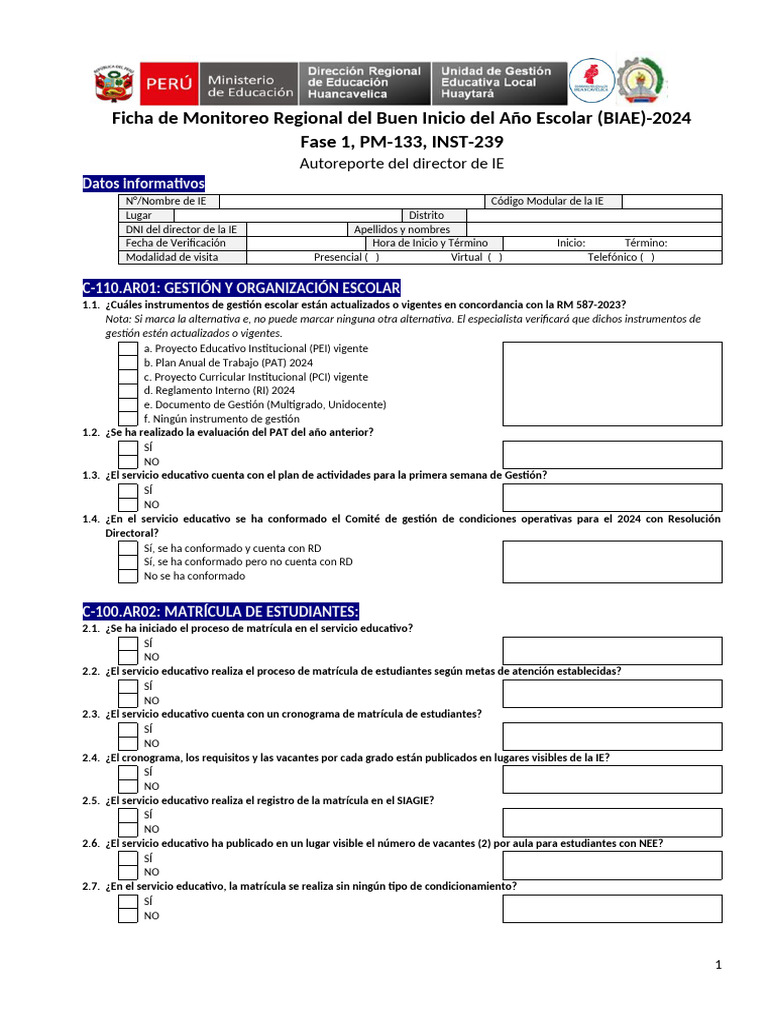 Ficha de Monitoreo BIAE Fase 1-2024 Autoreporte Director de IE | PDF ...