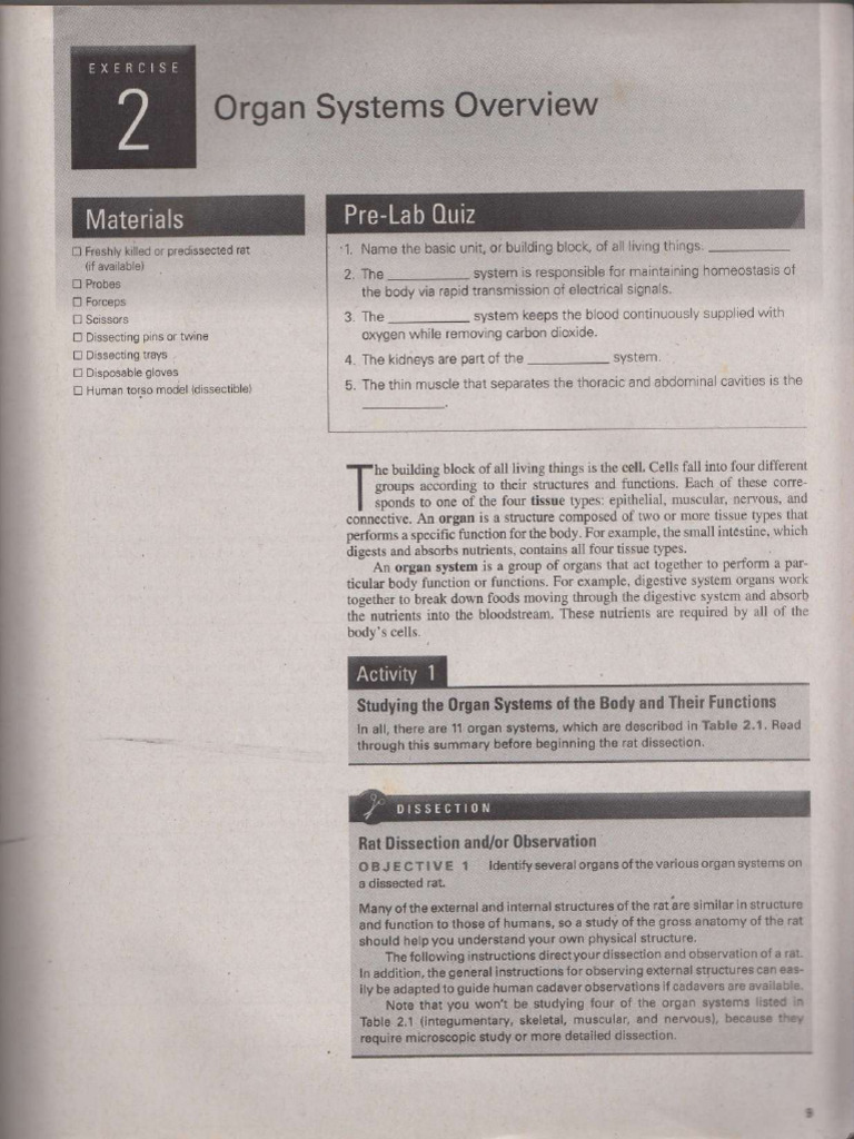 Organ Systems Overview | PDF | Human Body | Gastrointestinal Tract