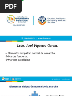 Marcha Steppage: Causas y Tratamiento | PDF | Electromiografia ...