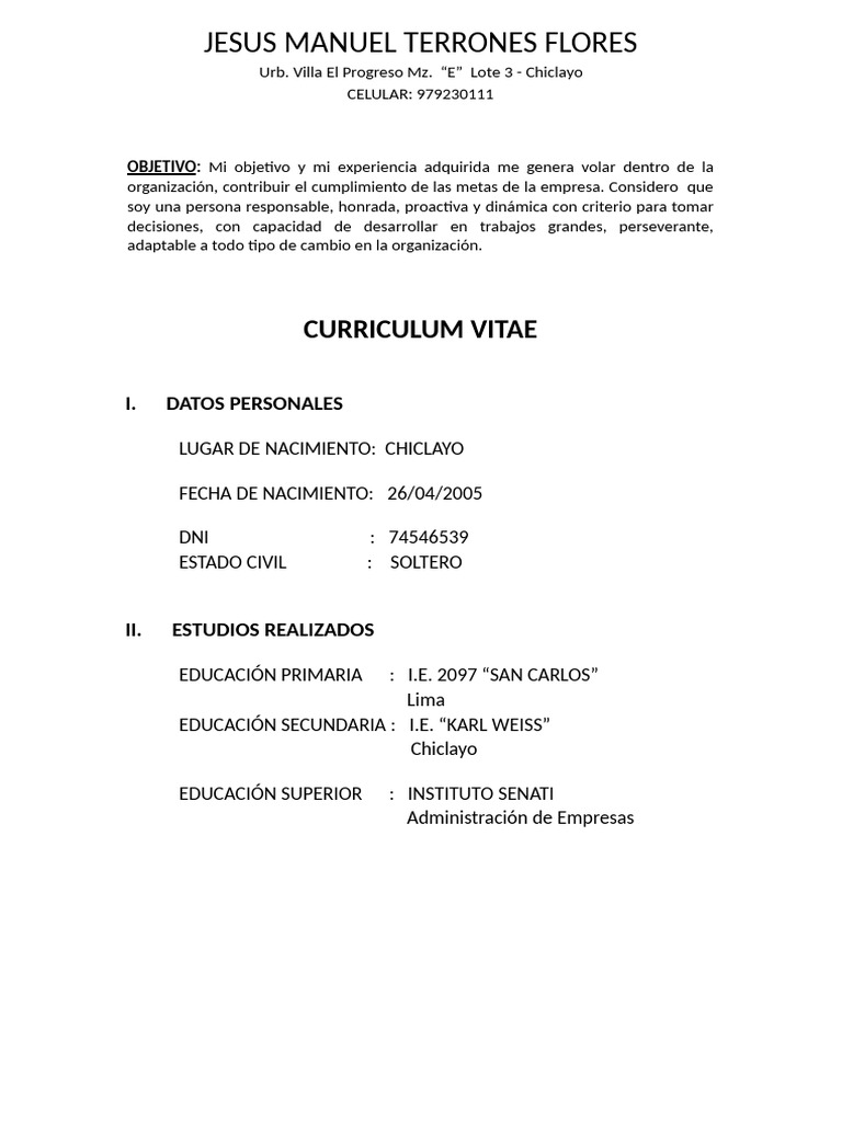CV Jesús Terrones Flores | PDF