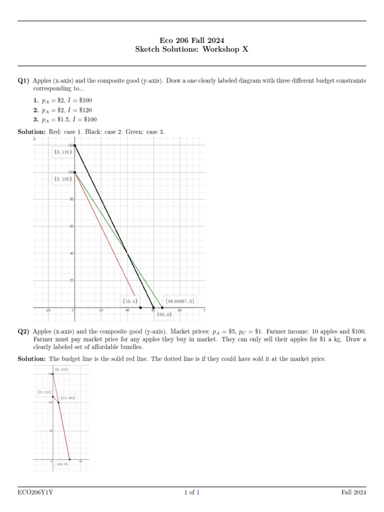 ECO206 Fall 2024 Worksheet Solutions W1 | PDF