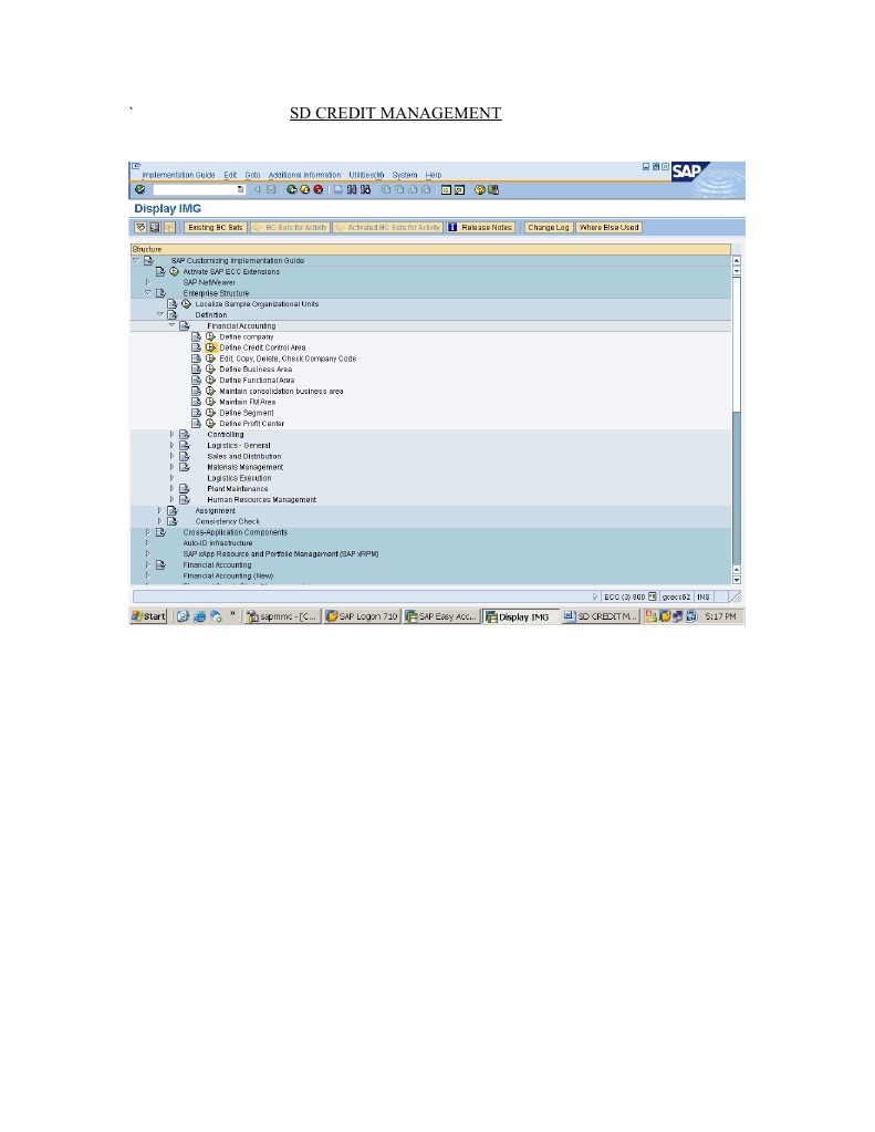 SD Credit Management | PDF