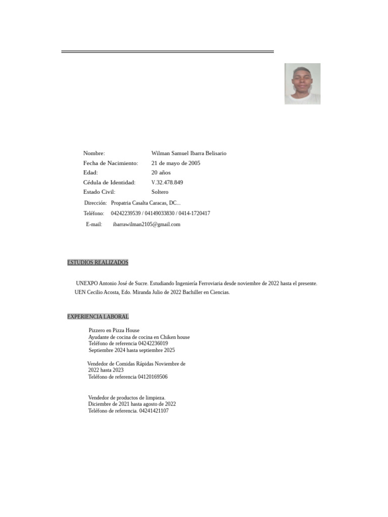 Currículum de Wilman Ibarra Belisario | PDF