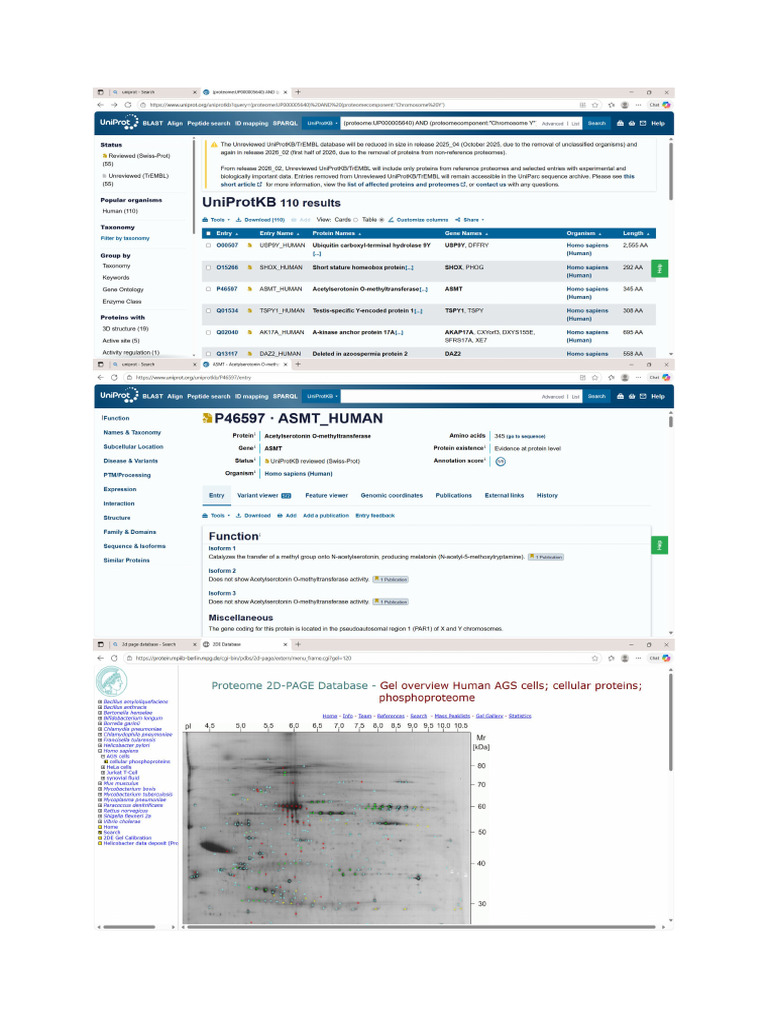 Proteome 2D Database | PDF