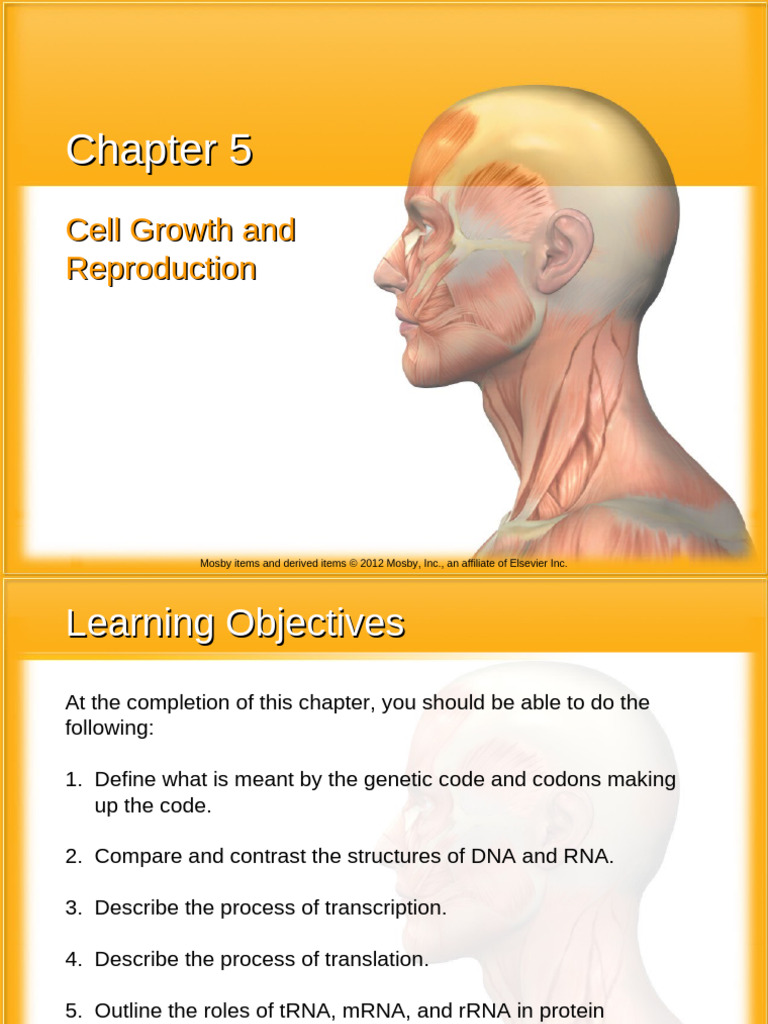 Cell Growth and Reproduction Overview | PDF | Rna | Mitosis