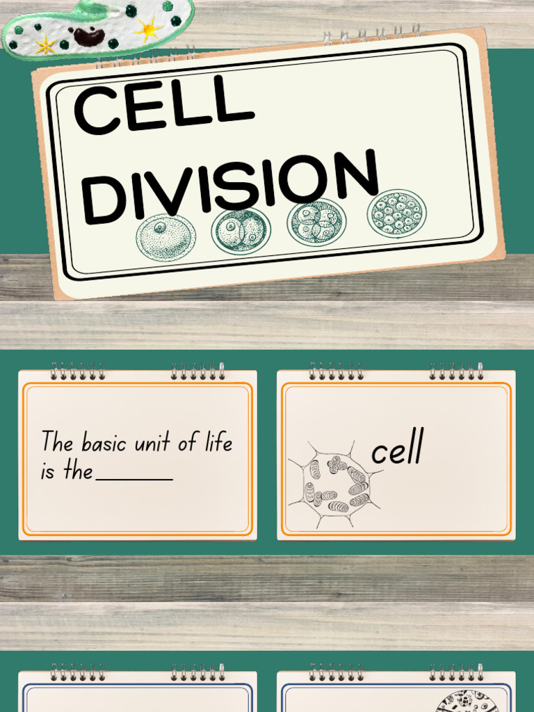 Cell Division | PDF