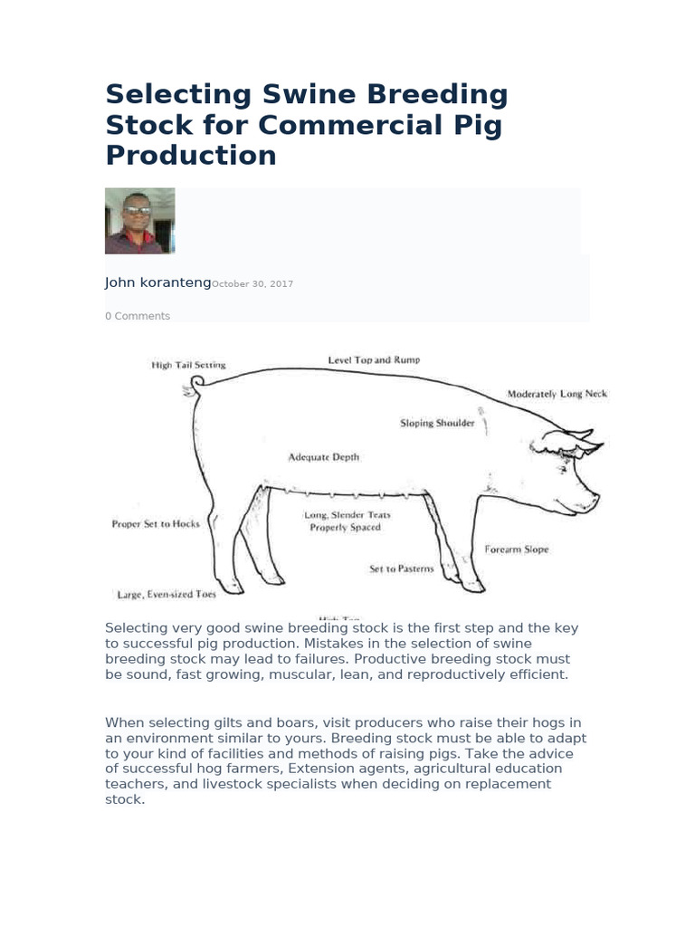 Selecting Quality Swine Breeding Stock | PDF | Pig | Wild Boar