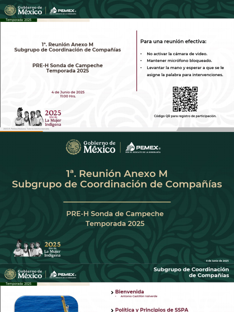 1a Reunión Anexo M - Coord. de Compañías | PDF | México | Vórtices