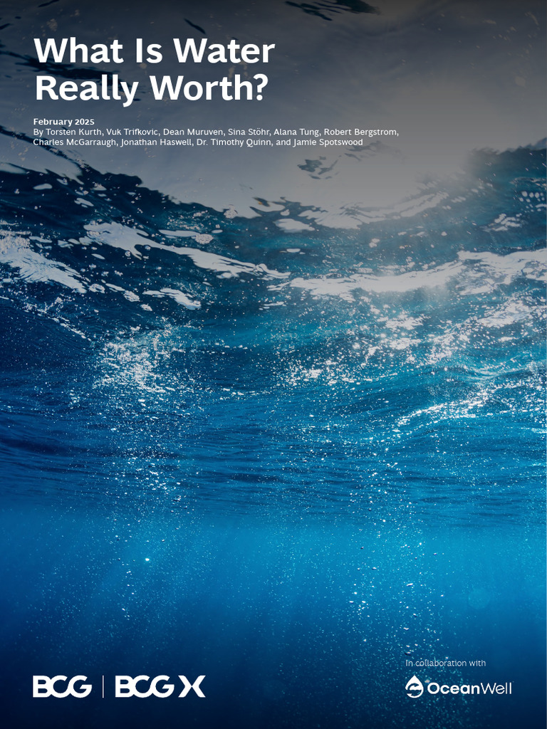 The True Value of Water Investment | PDF | Water Scarcity | Water