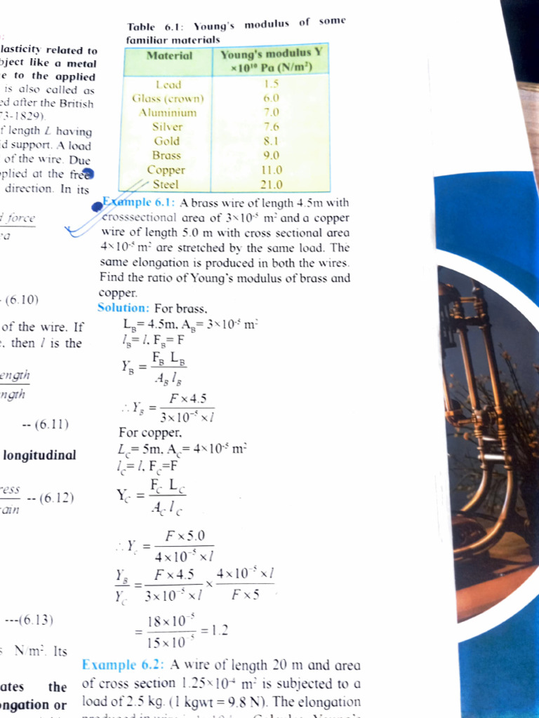Question | PDF | Young's Modulus | Elasticity (Physics)