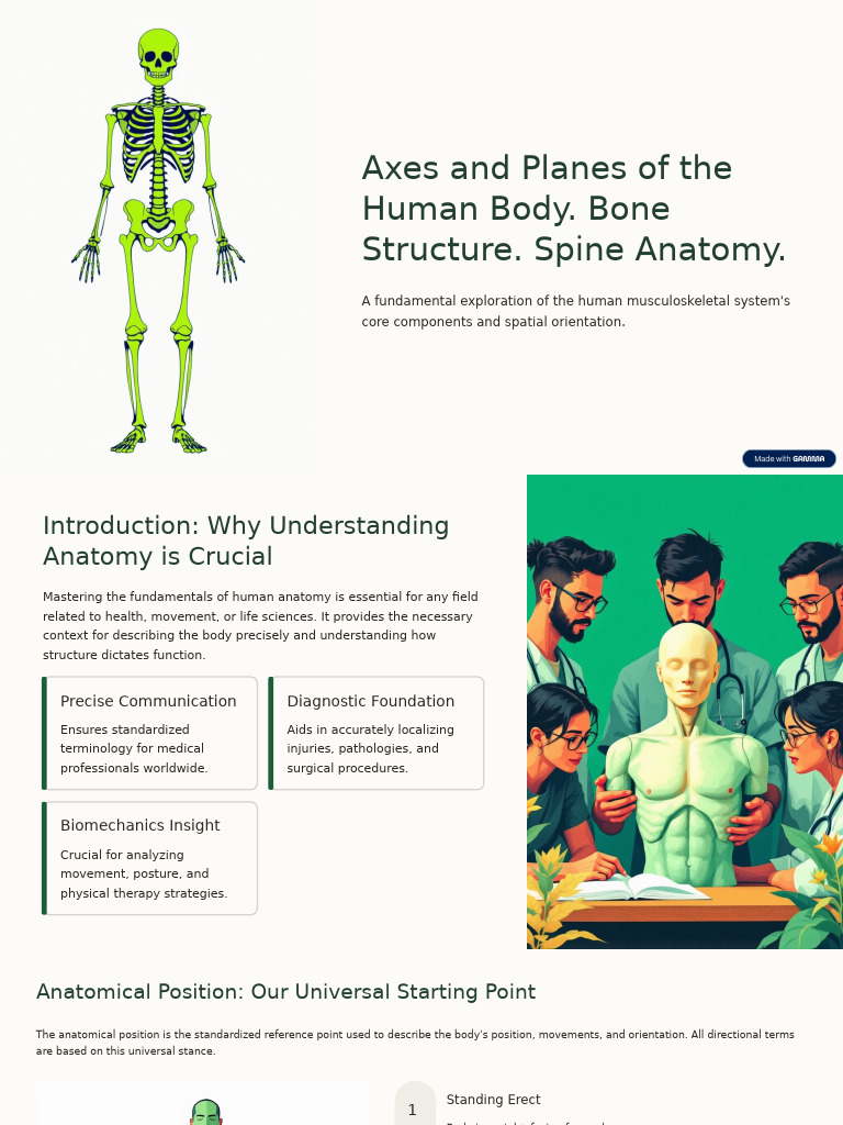 Axes and Planes of The Human Body Bone Structure Spine Anatomy | PDF ...